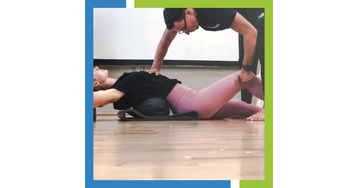 ZOGA Movement Practice Certyfikacja Toruń termin wkrótce - Movuto